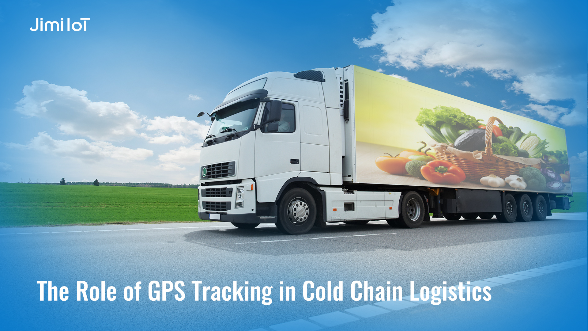 The Role of GPS Tracking in Cold Chain Logistics